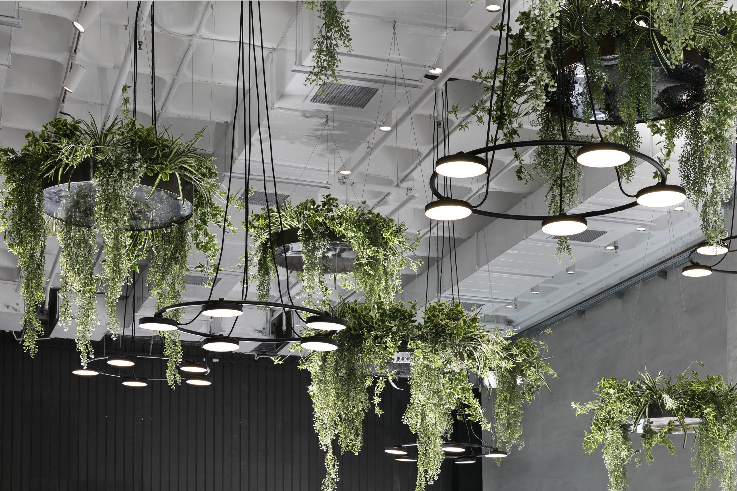 Aro round - קבסו תאורה - אולם תצוגה בירושלים